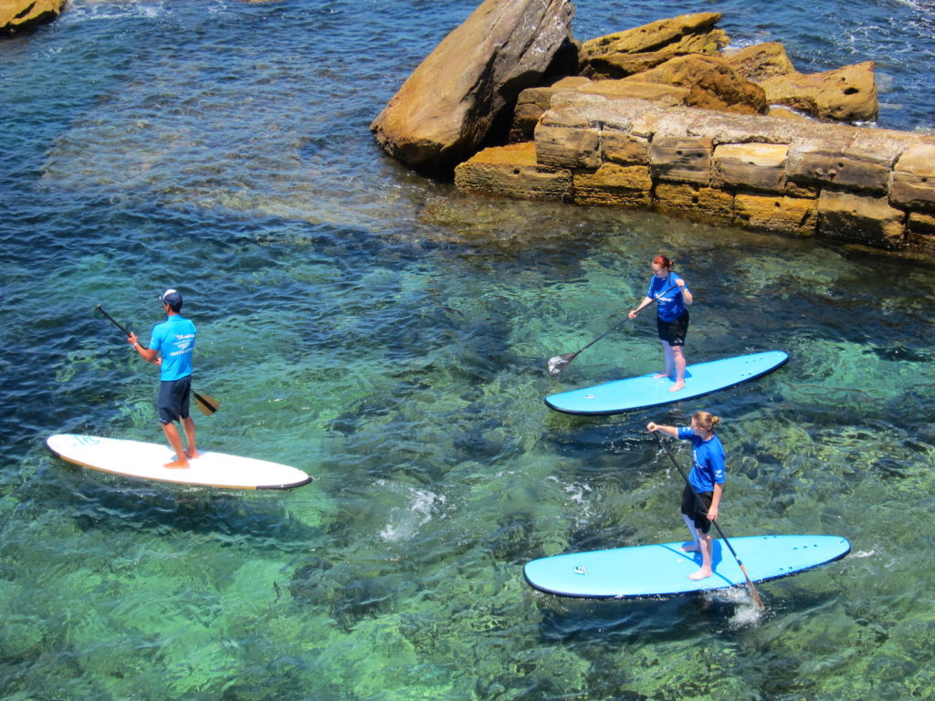 Stand up Paddle Boarding Outdoor Team Activity in Sydney